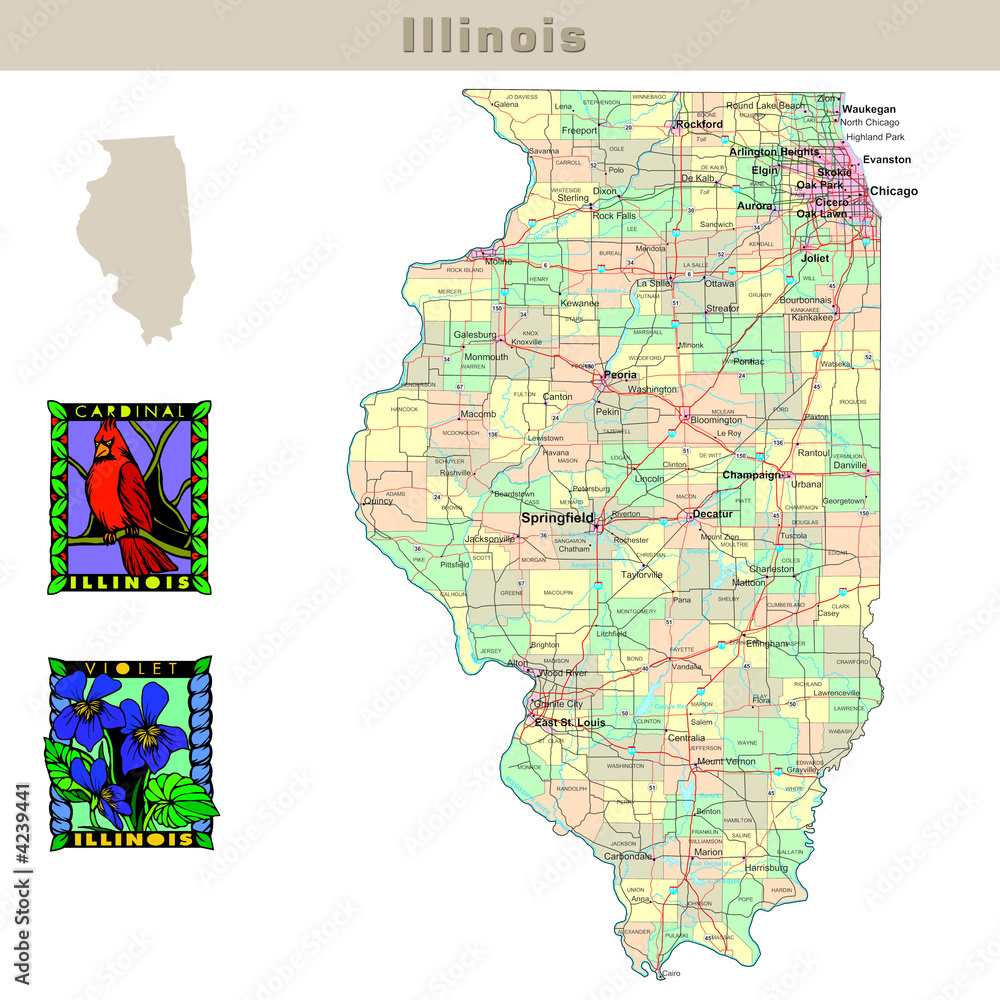 USA states series: Illinois. Political map with counties ilustração do ...