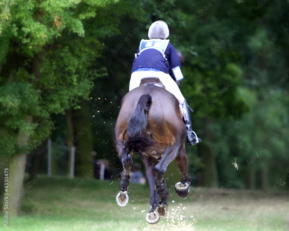 Horse Galloping Rear Stock Photo | Adobe Stock