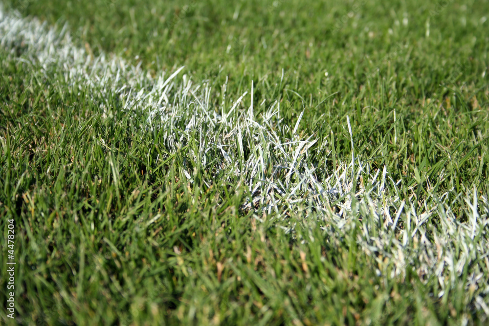 Pelouse de terrain de foot Photos | Adobe Stock