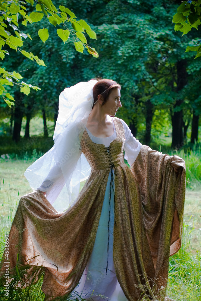 Renaissance Dress