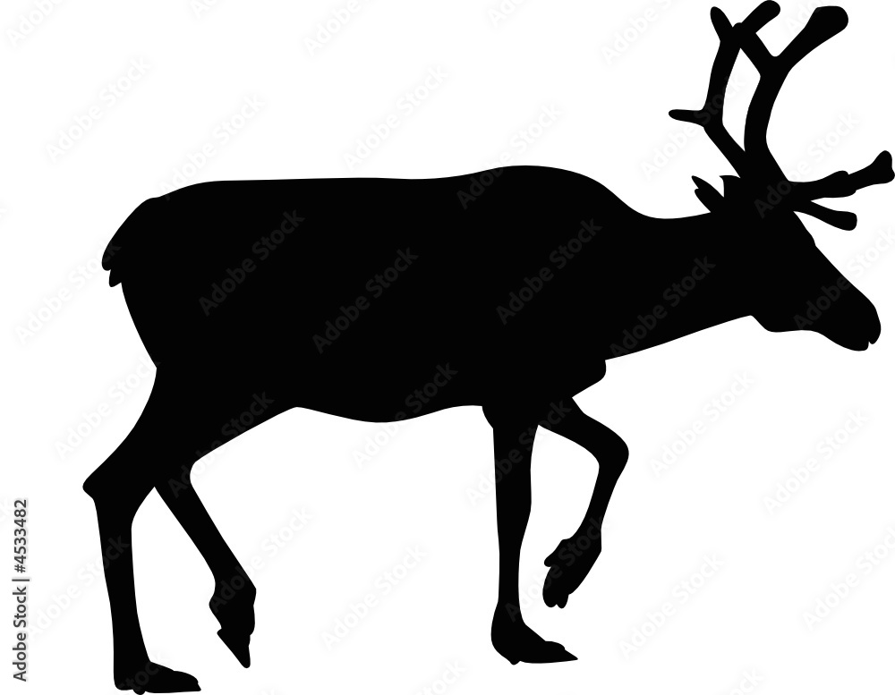 rentier Stock-Vektorgrafik | Adobe Stock