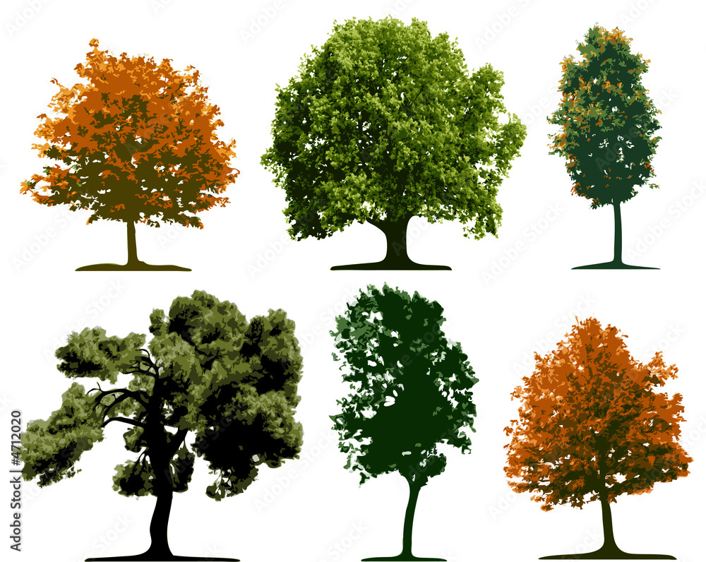 Tree (vector) Stock Illustration | Adobe Stock