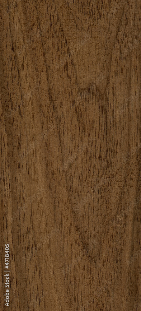 high resolution walnut wood texture Stock Photo | Adobe Stock
