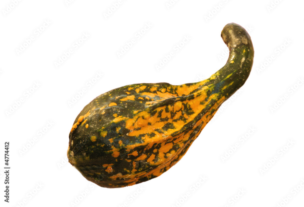 Yellow and Green Gourd Stock Photo | Adobe Stock