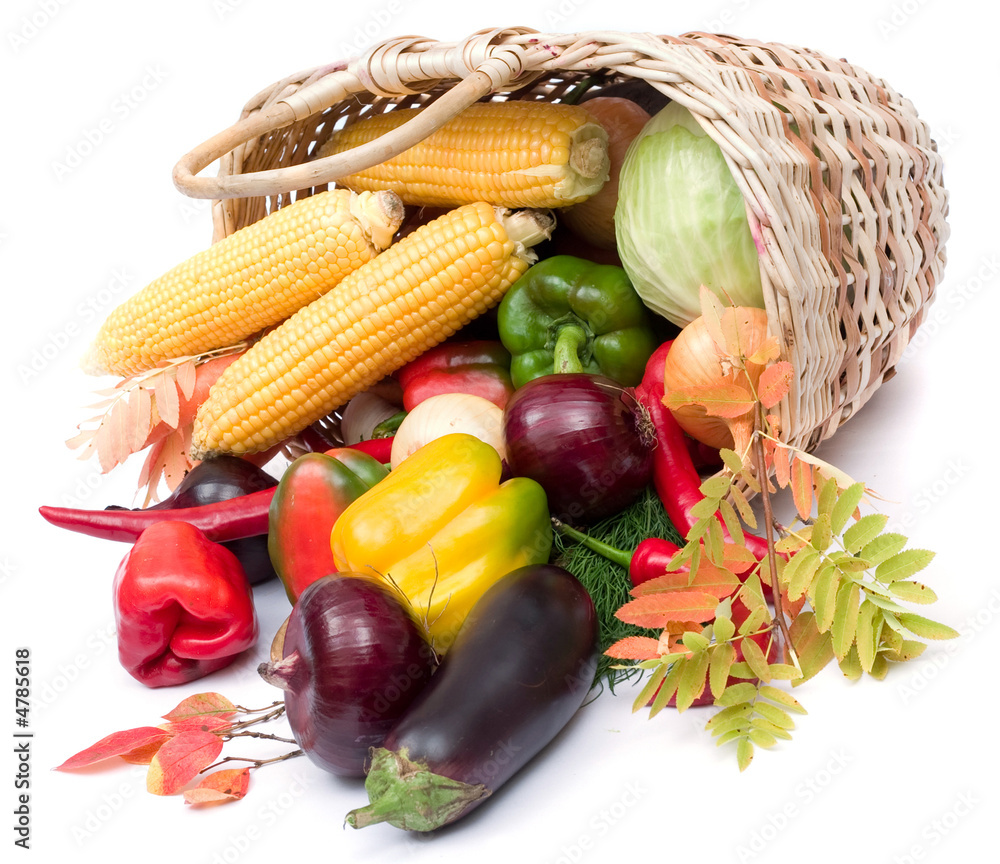 Poster colorful vegetables in basket – Wall Art | UkPosters