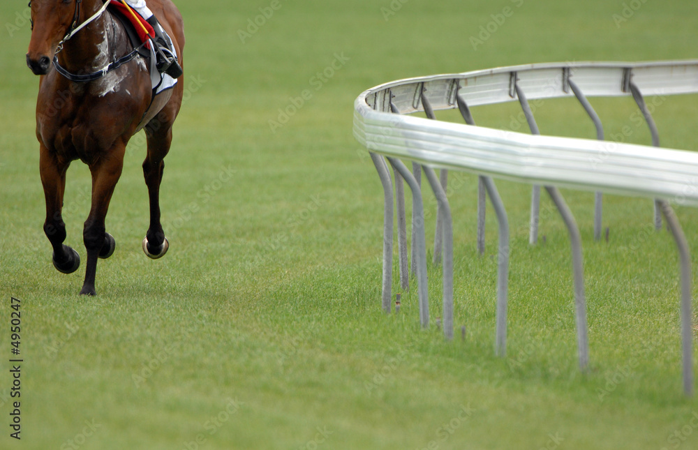 Empty Horse Race Track