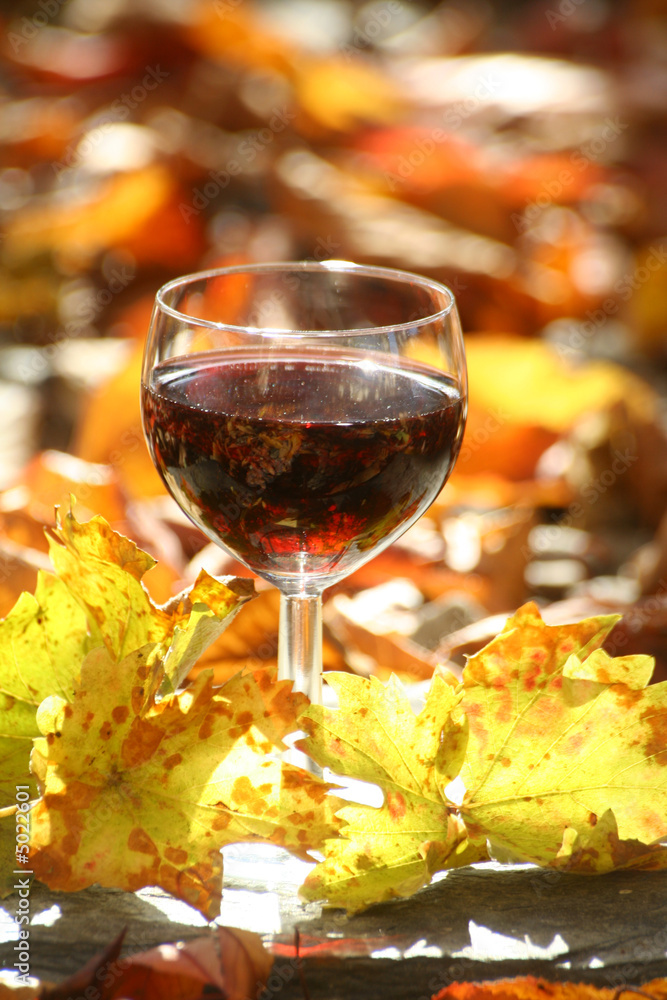 vin rouge Stock Photo | Adobe Stock