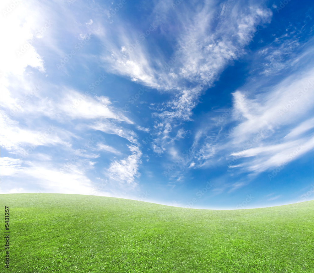 Beautiful S-curved horizon with blue sky and green grass Stock Photo ...