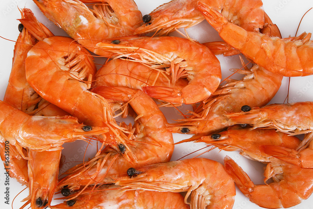 gamberi Stock Photo | Adobe Stock