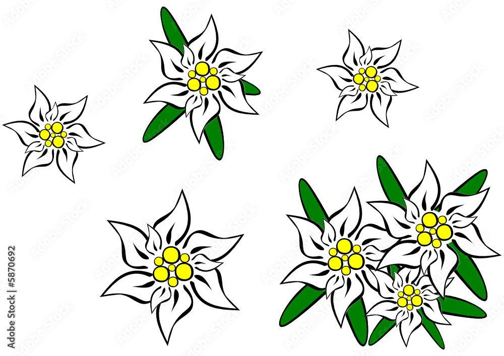 edelweiss-stock-gamesageddon