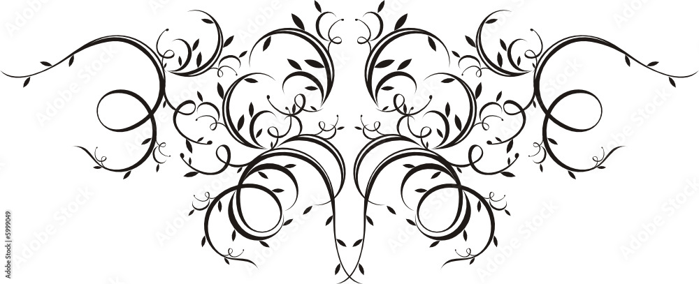 florituras vector de Stock | Adobe Stock
