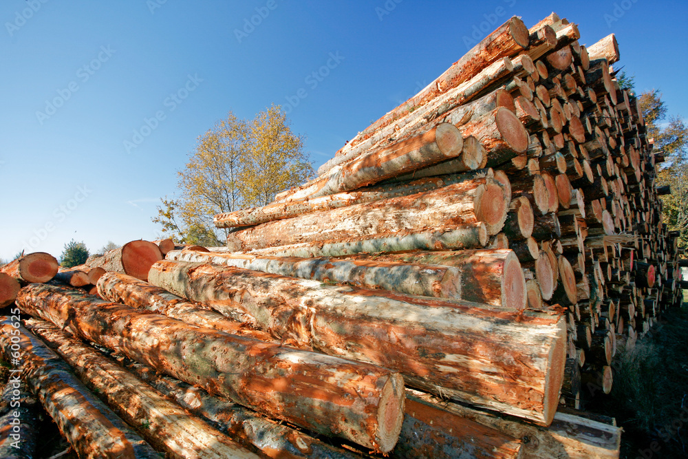 Stock de rondins de bois Stock Photo | Adobe Stock
