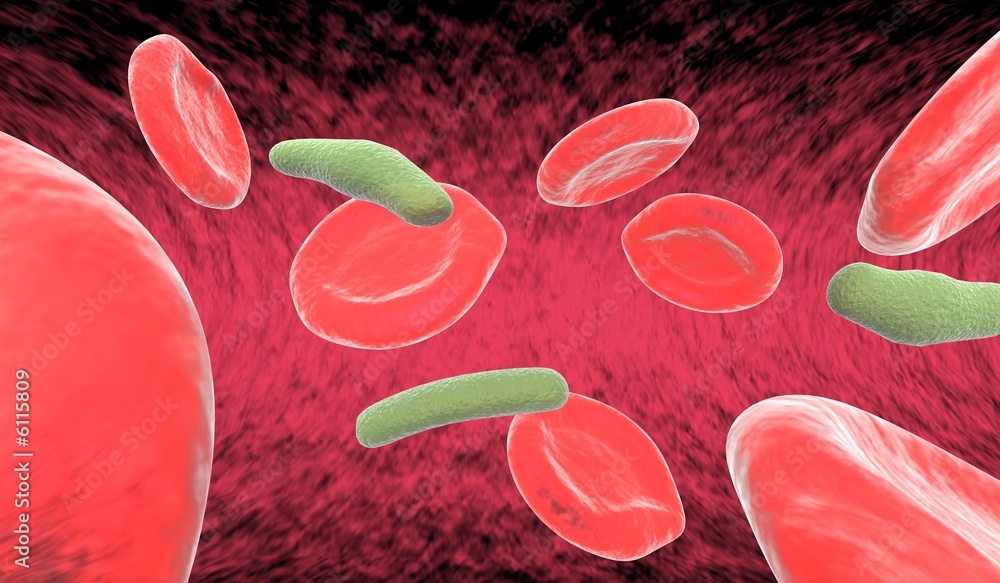 8 red blood cells and 3 bacteria floating by in artery. Stock ...