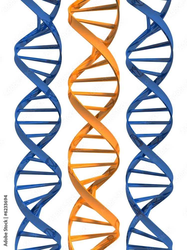 darstellung der doppel helix Stock-Illustration | Adobe Stock