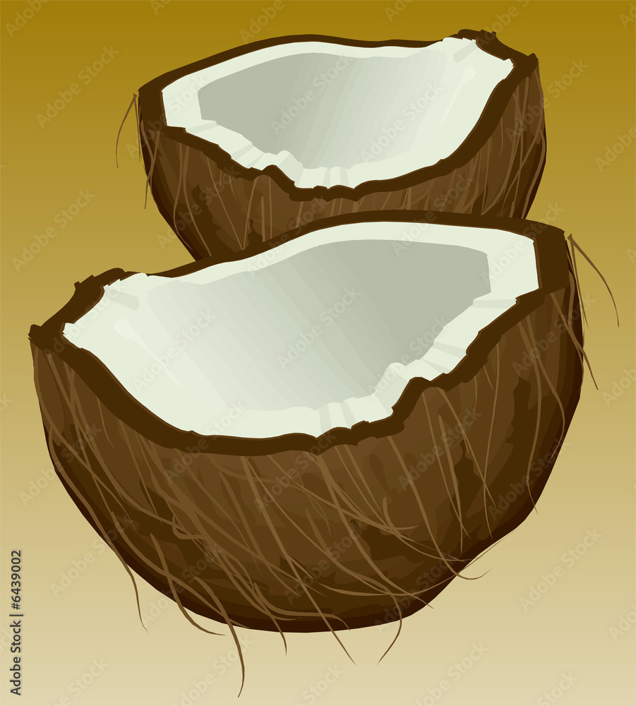 Fruta Tropical, coco ilustración de Stock | Adobe Stock