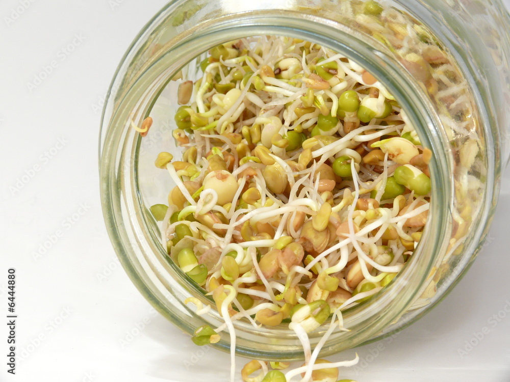 Sprossen Stock Photo | Adobe Stock