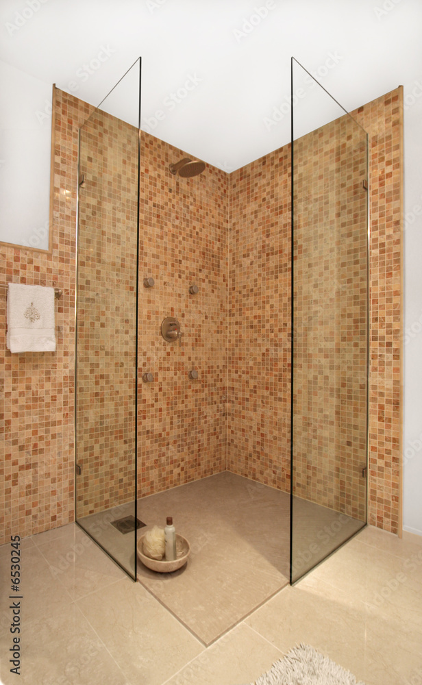 Bathroom and shower interior in modern home Stock Photo | Adobe Stock