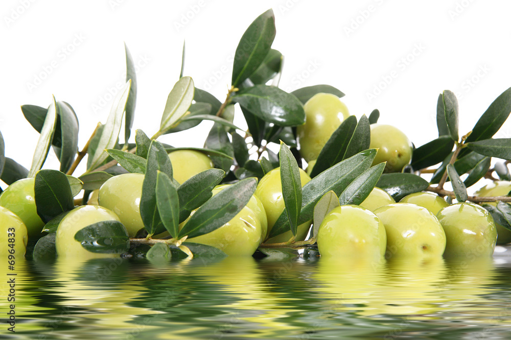 olive Stock Photo | Adobe Stock