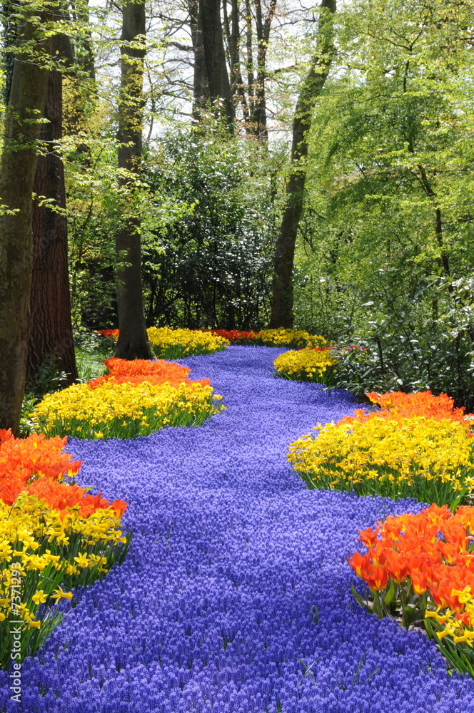 allée de fleurs Photos | Adobe Stock