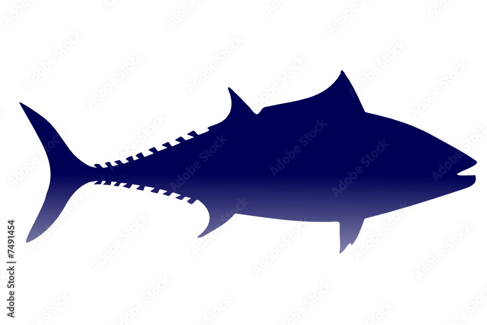 Tunny blue Stock Vector | Adobe Stock