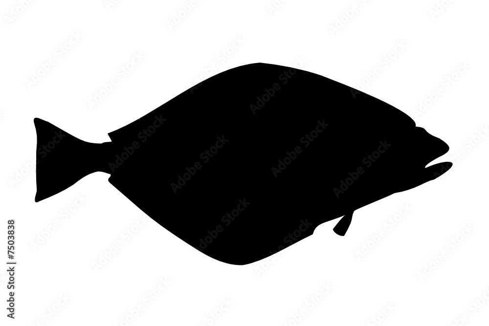 Halibut Silhouette