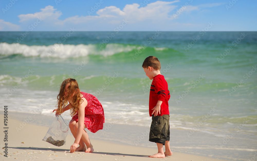 Children Collecting Seashells Stock 写真 | Adobe Stock