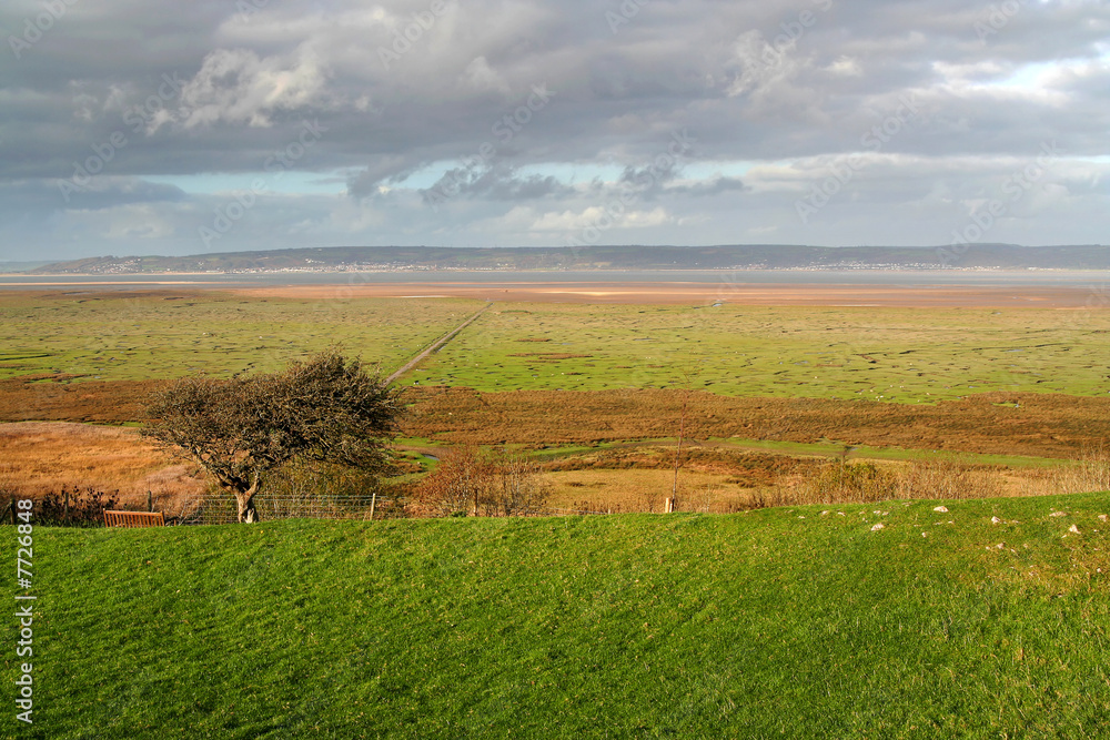 Poster The salt marshes in the Gower peninsula, wales, uk – Wall Art ...