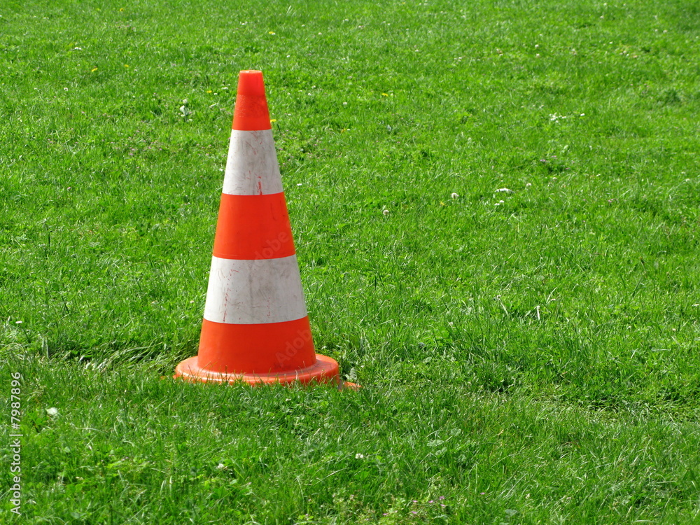 Plot orange et blanc de chantier sur pelouse verte. Photos | Adobe Stock