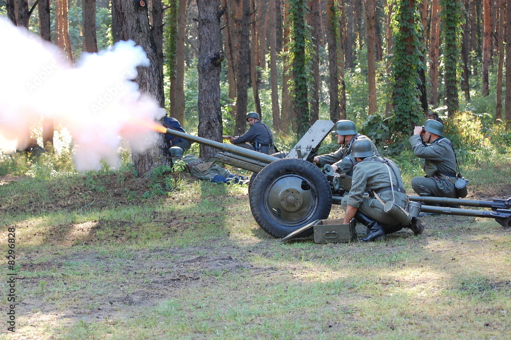 German cannon . WW2 reenacting Stock Photo | Adobe Stock