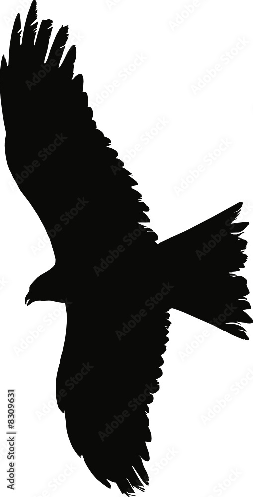 Flying Falcon Stock Vector | Adobe Stock