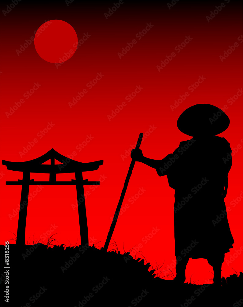 Chinese silhouette in the night. Stock Vector | Adobe Stock