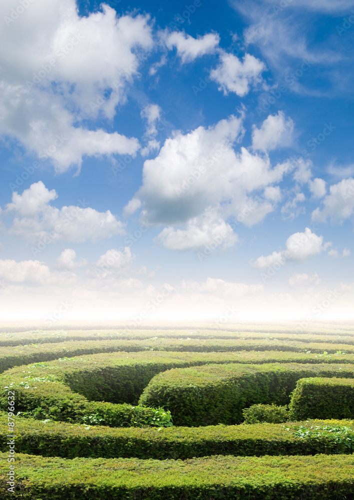 Hedge maze problem solving Stock Photo | Adobe Stock
