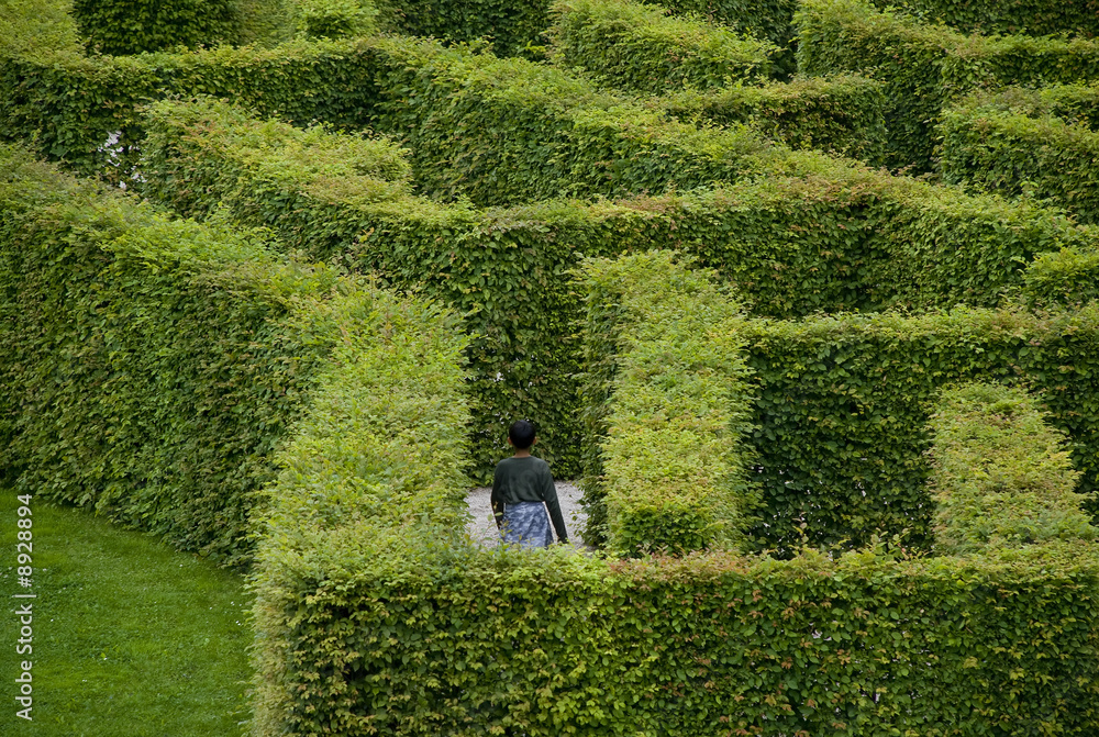 Boy walking into a labyrinth Stock Photo | Adobe Stock