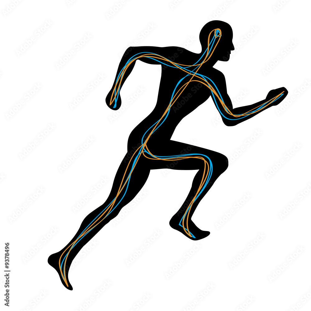 Man Running Showing Two Pathways Connecting Brain to Muscles Stock ...