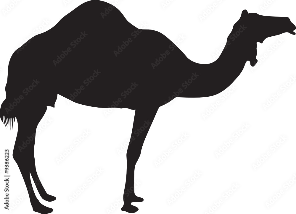 Camel Shape Stock Vector | Adobe Stock