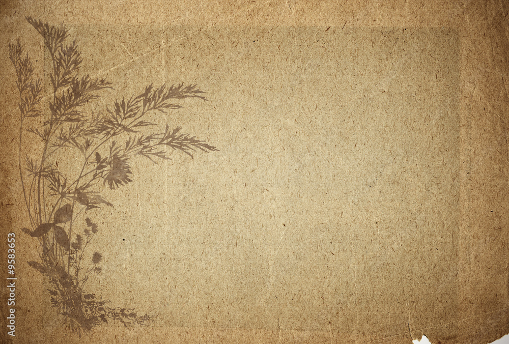 Floral Parchment Background