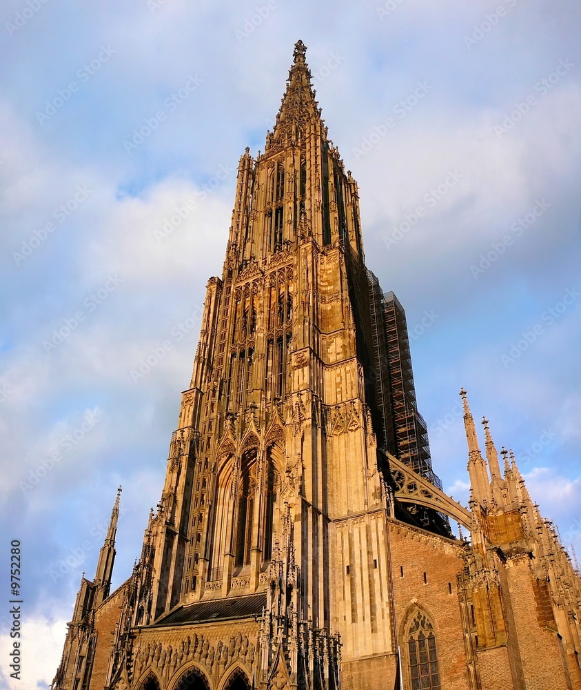 Ulmer Münster im Abendlicht Stock-Foto | Adobe Stock