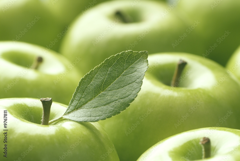 Green Apples Stock-Foto | Adobe Stock