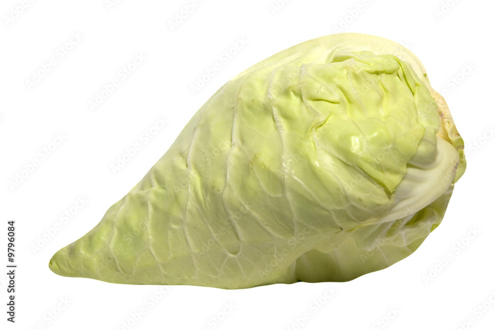 Frischer Spitzkohl Stock-Foto | Adobe Stock