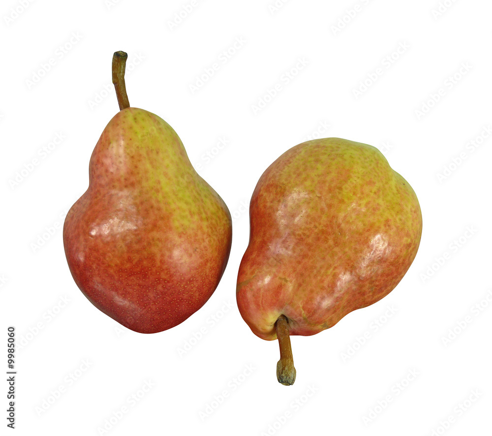 poire william rouge Photos | Adobe Stock