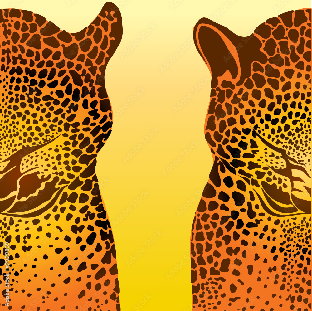 background with two leopards Stock Vector | Adobe Stock