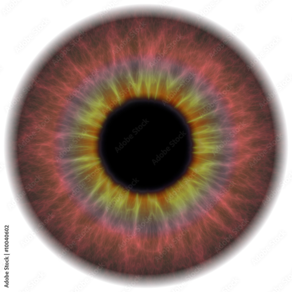 A highly detailed iris section of the human eye. Stock Illustration ...