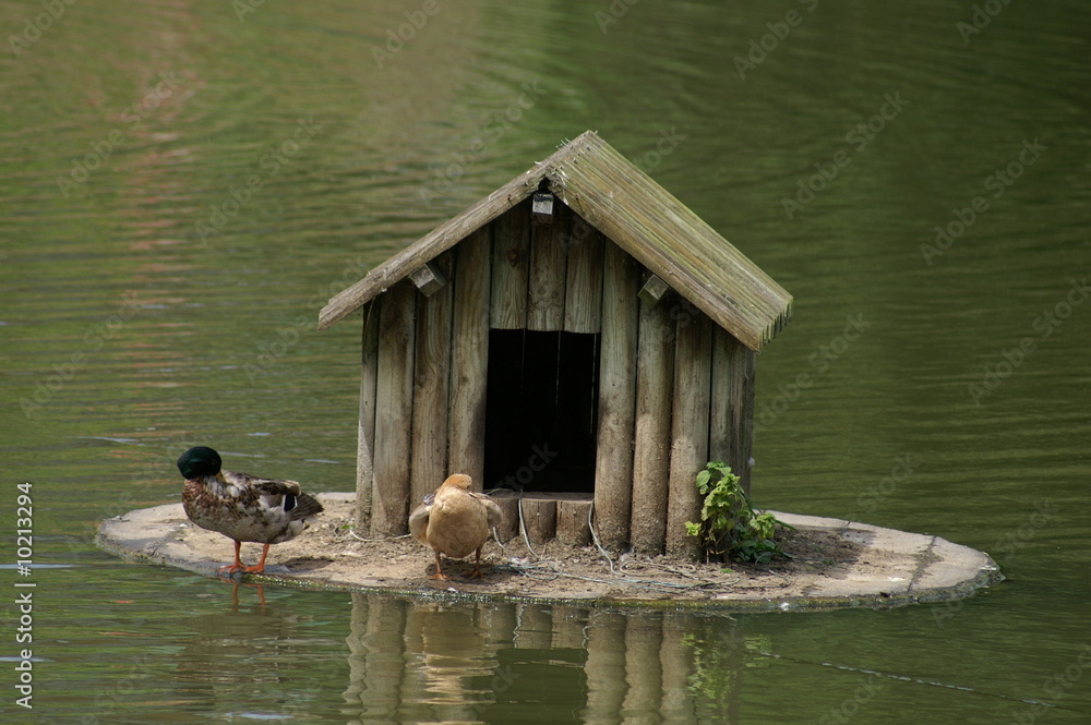 Cabane à canards dans le plan d'eau du parc de Plancoët Photos | Adobe ...