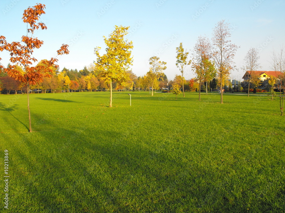 Green park Stock Photo | Adobe Stock