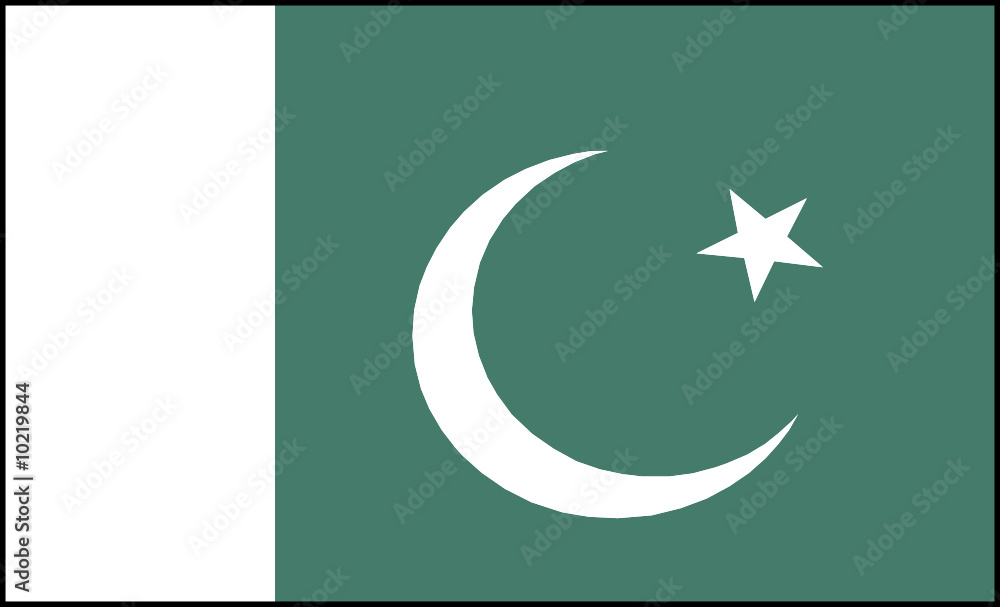 Pakistan Stock Vector | Adobe Stock