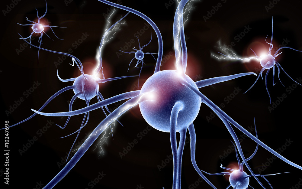 Nerven Stock-Illustration | Adobe Stock