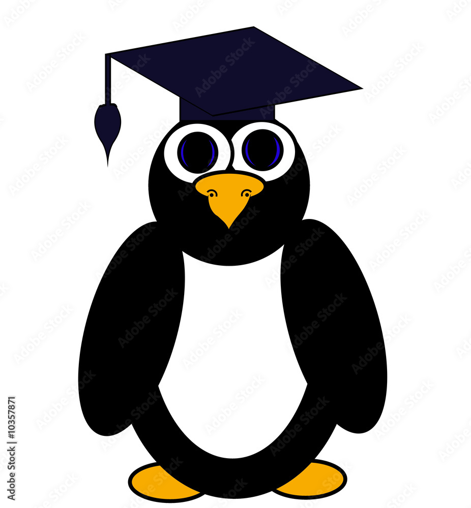 Graduating Penguin Cartoon - Isolated On White Stock Illustration ...