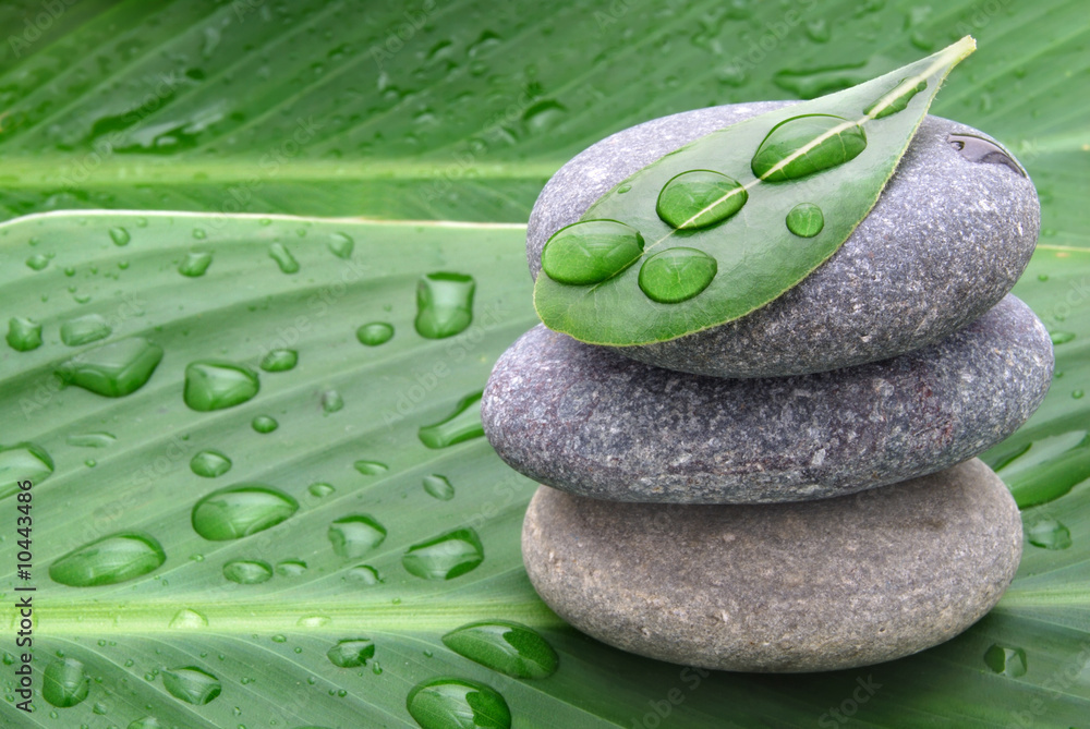 sooth Stock Photo | Adobe Stock