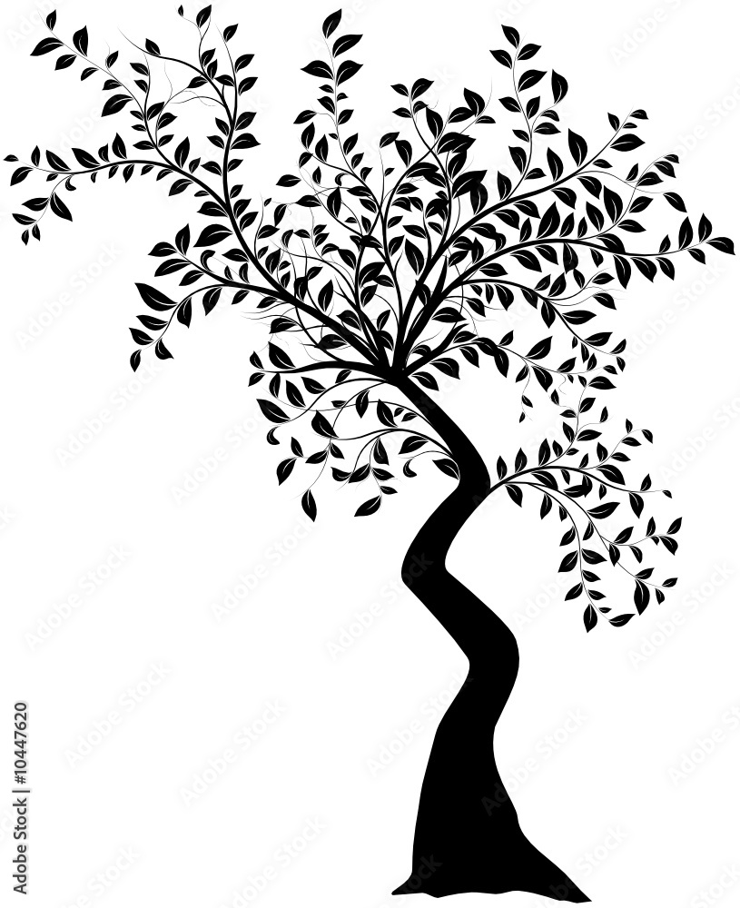 silhouette d'arbre stylisé vectoriel sur un fond blanc Stock Vector ...