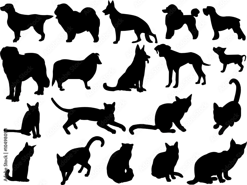 cat and dog - vector Stock Vector | Adobe Stock